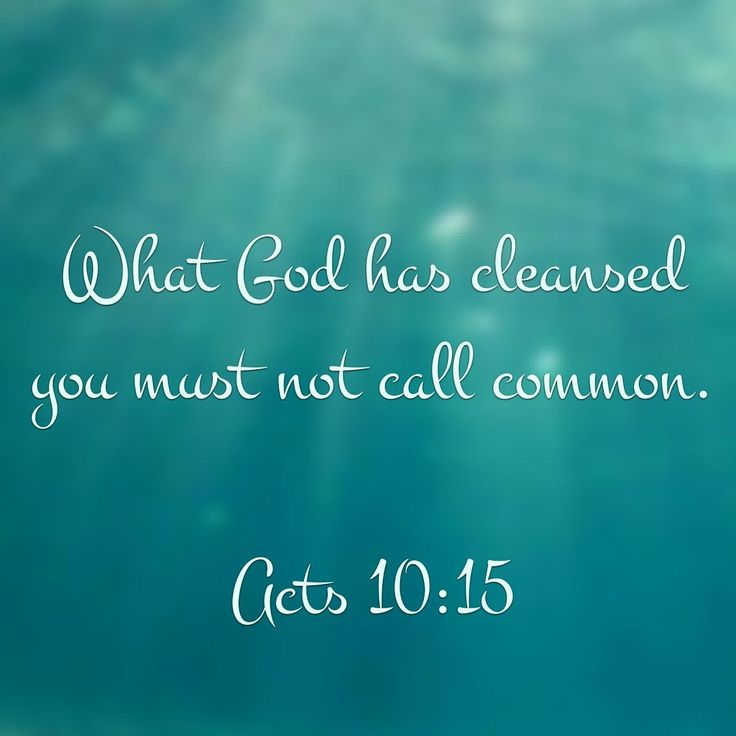 The Spirit Poured Out Upon All – The Bible Through the Seasons